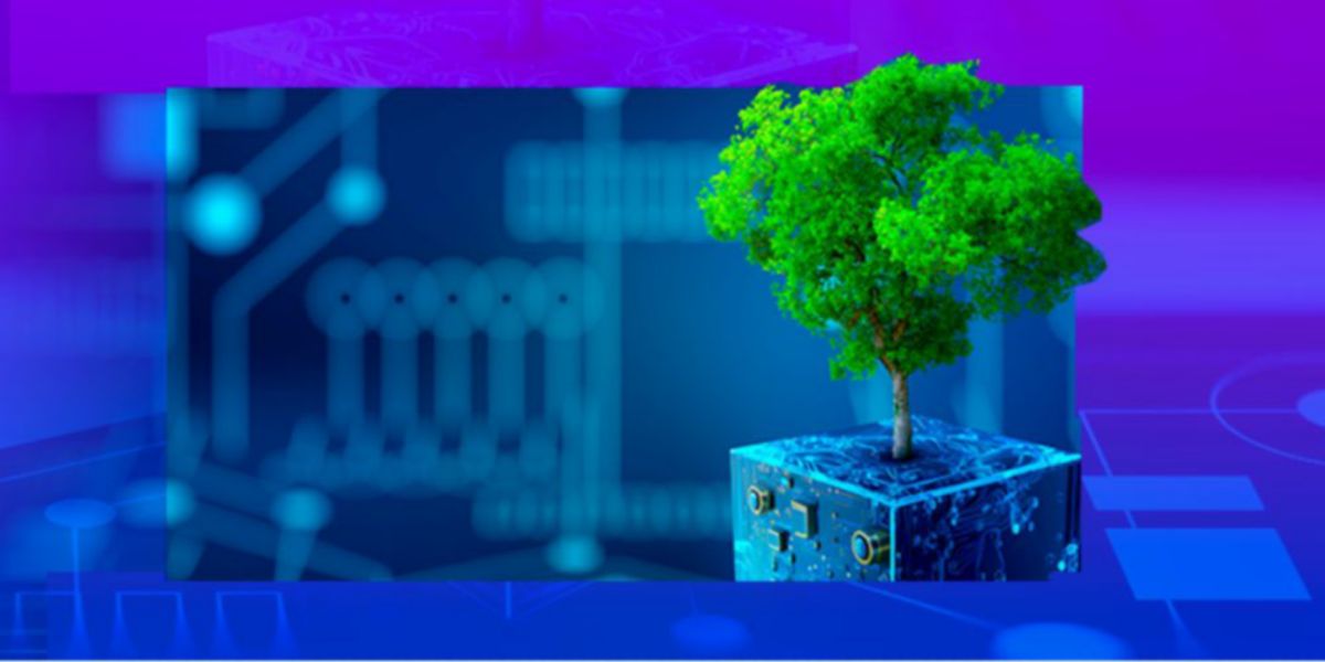 KPMG Cyber Maturity Assessment (CMA) - KPMG East Africa