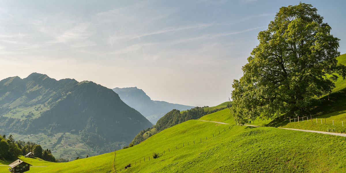 Green Claims Directive - KPMG in Germany