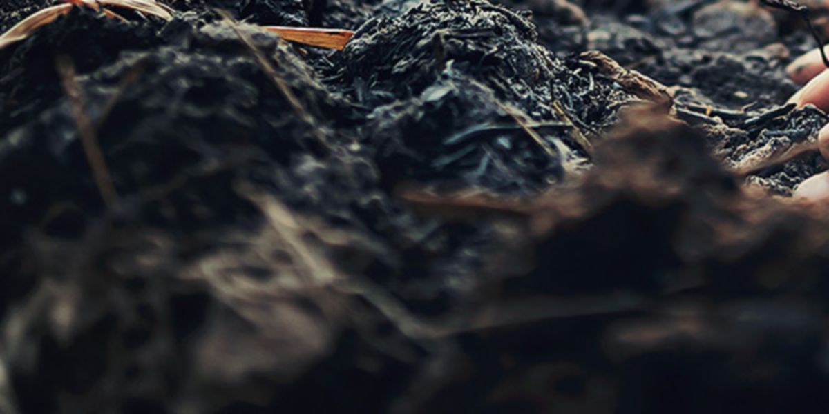 ESG target operating model for the finance function - KPMG in Germany