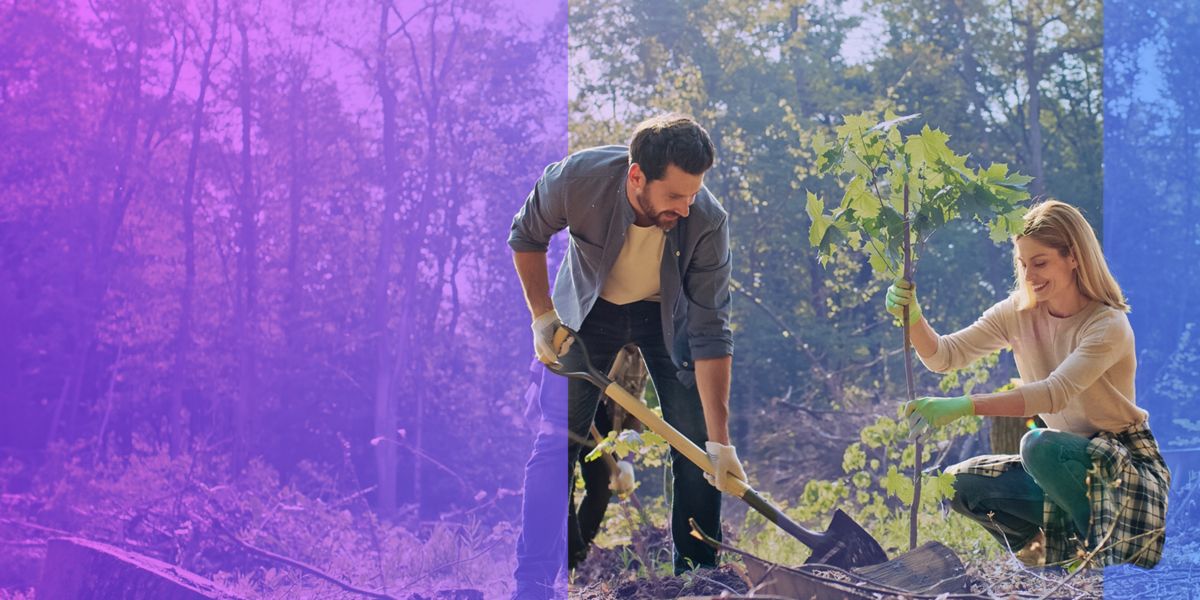 Our Impact Plan 2024 - KPMG Ukraine