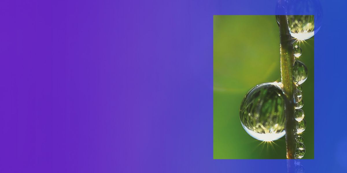 Beyond greenwashing - KPMG Thailand