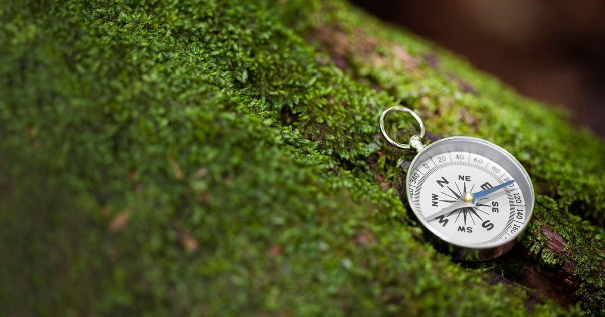 KPMG AZSA Sustainability - KPMG Japan