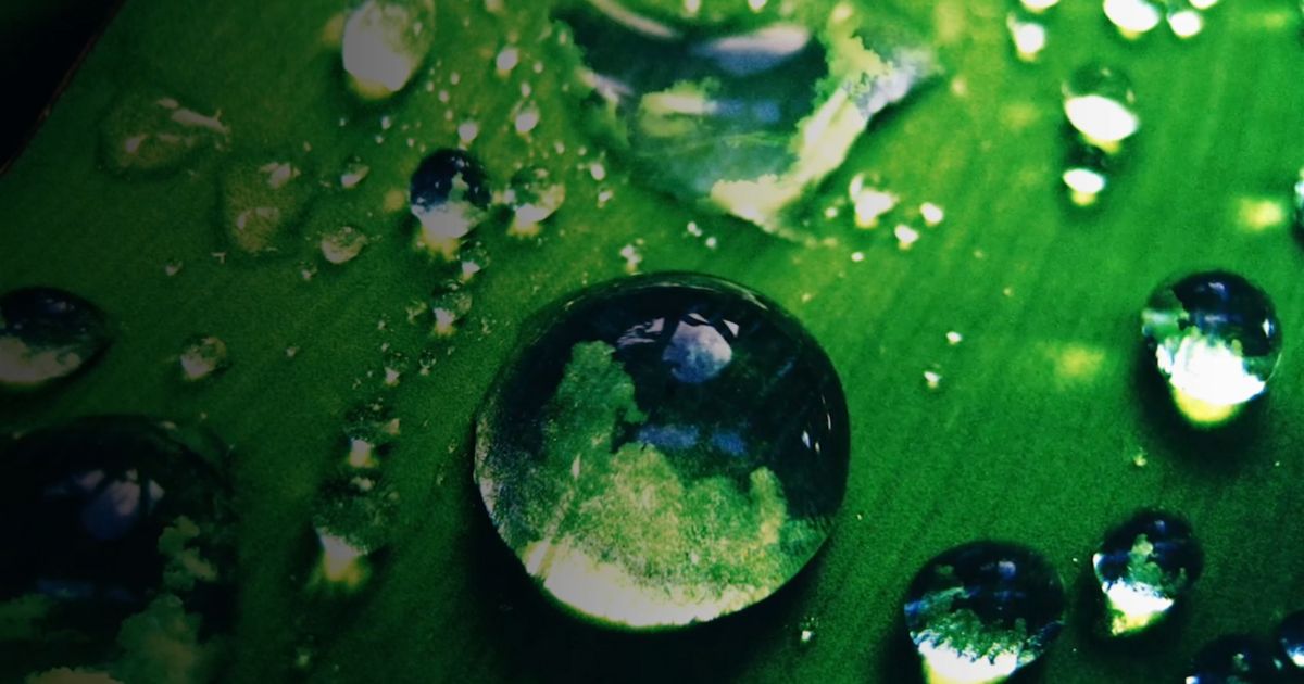 Estrategia Global ESG - KPMG Chile