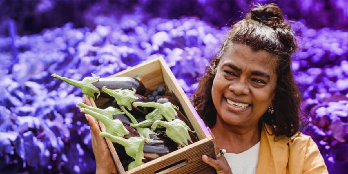 EGalim 3 : les apports de la loi