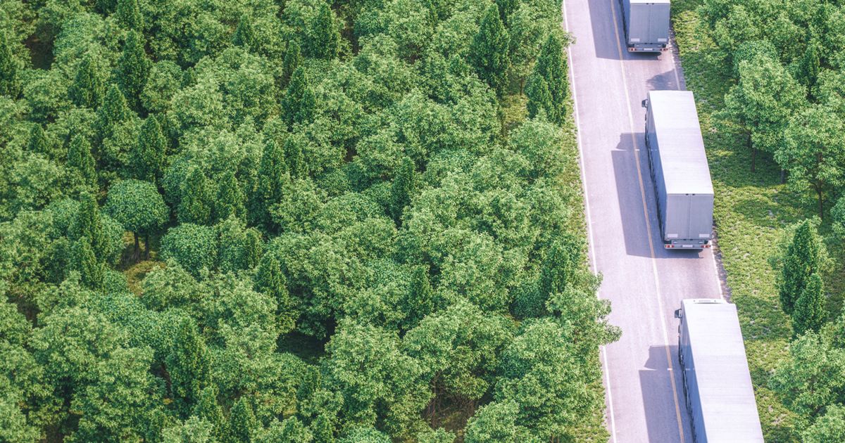 The Unnecessary Burden - KPMG Romania