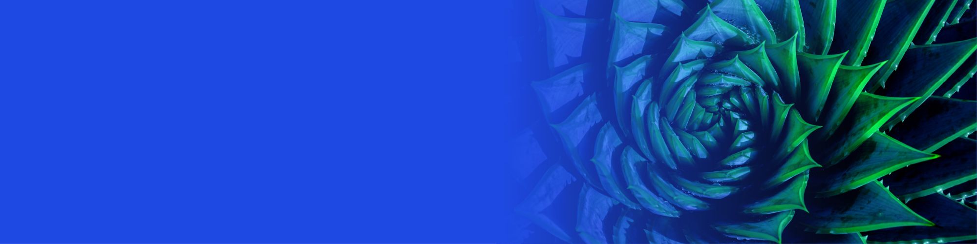 Third party Risk Management (TPRM) and... - KPMG Greece