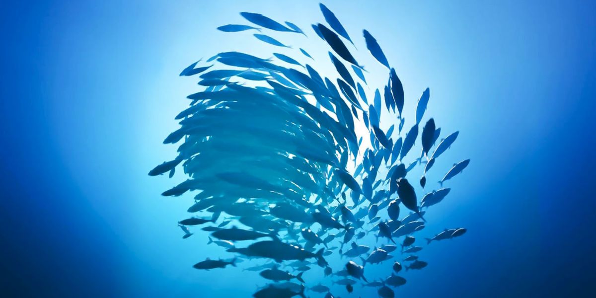 Комплаєнс | Юридичні послуги - KPMG Ukraine