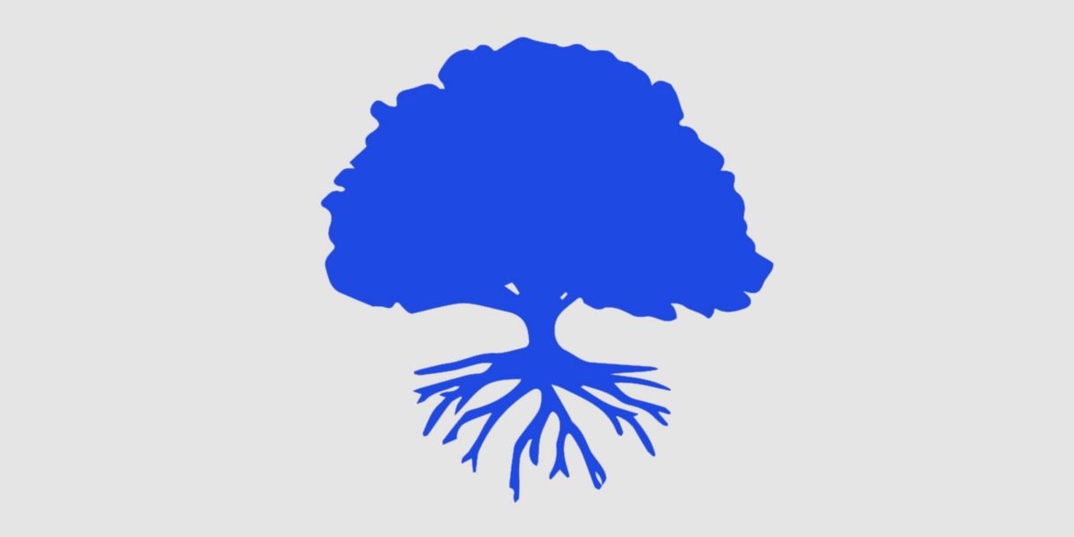 Are you generating and selling carbon credits? - KPMG Belgium