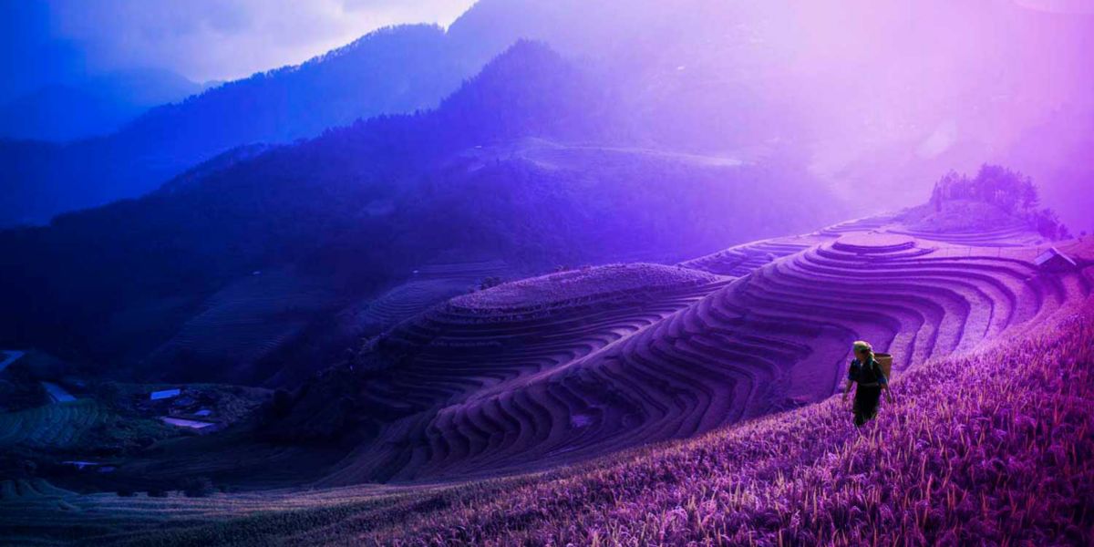 KPMG COP29 - KPMG Turkey