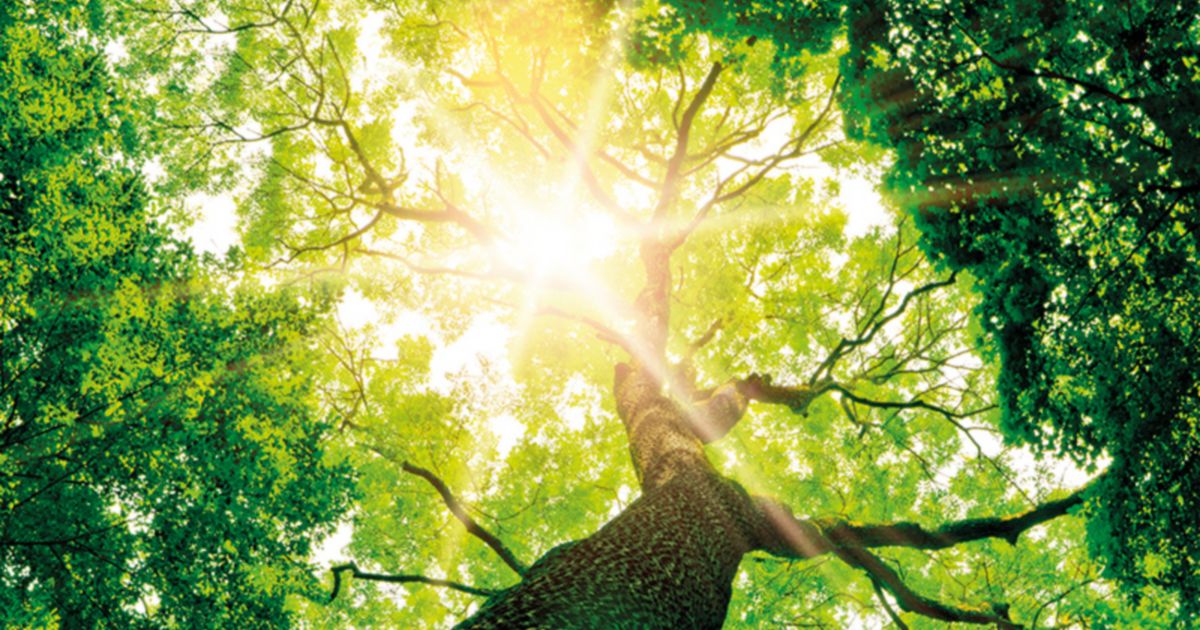 Sustainable Insight: Gearing up for Green Bonds - KPMG Ghana