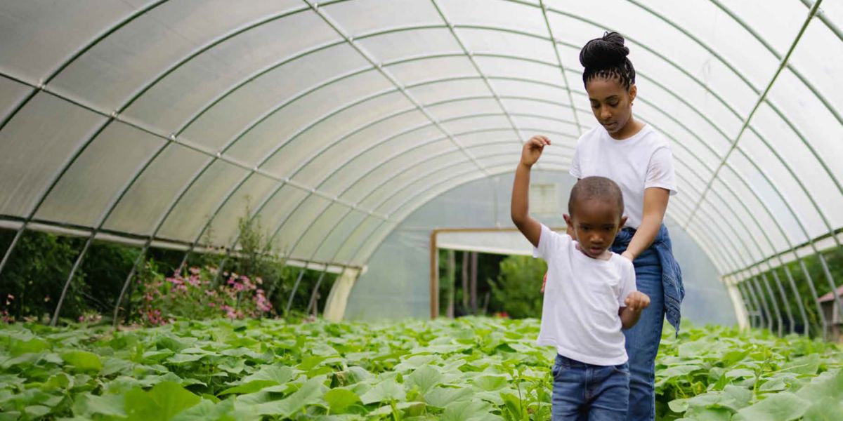 Navigating EU Taxonomy - KPMG Belgium