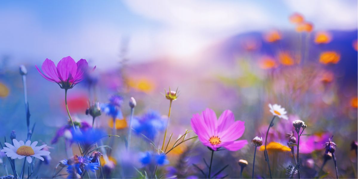 Our Impact Plan - KPMGジャパン