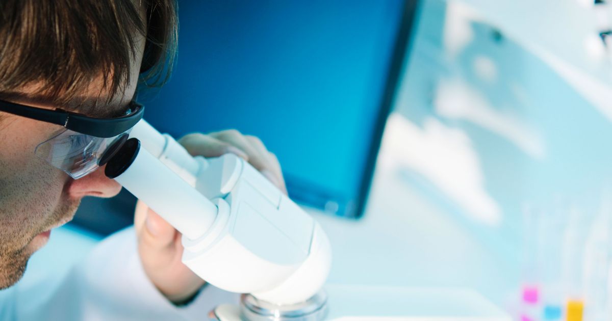 Government and Tax Incentives - KPMG South Africa