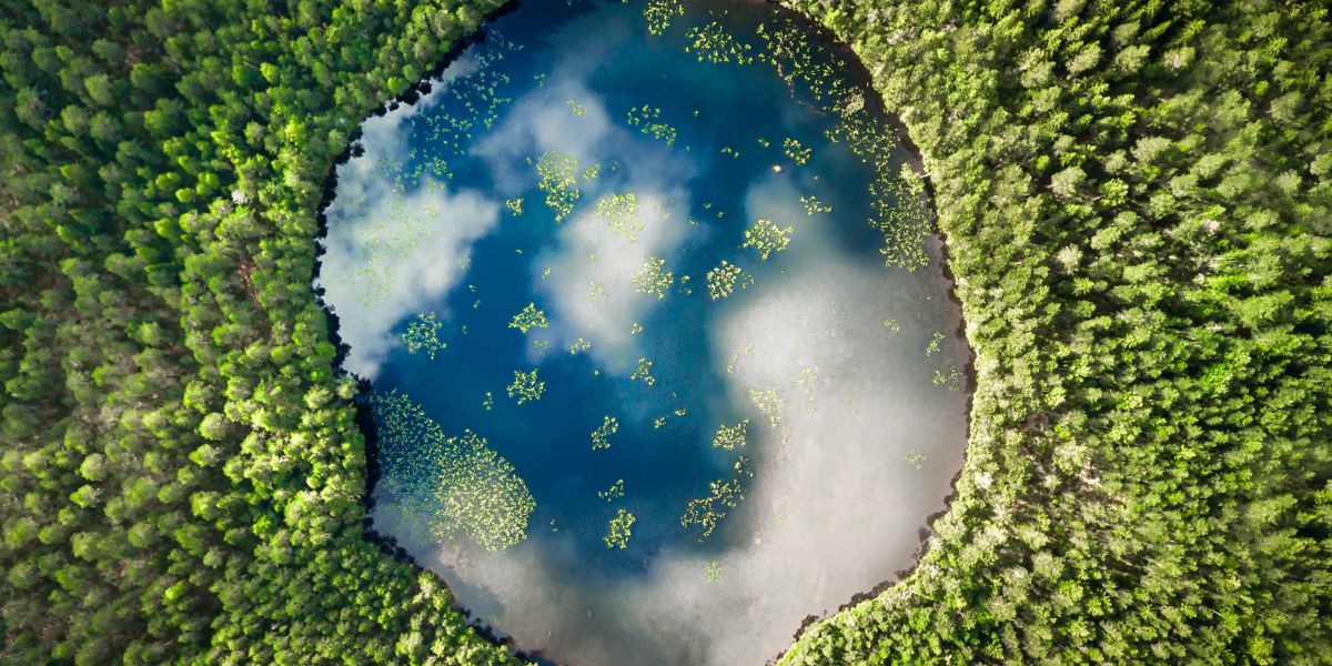 COP 29: Key achievements and ongoing challenges - KPMG Romania