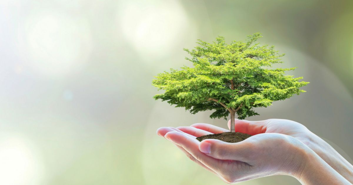 Corporate Social Responsibility - KPMG Angola