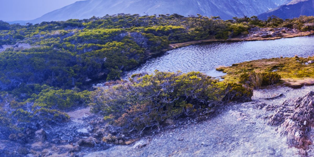 Corporate-Social-Responsibility - KPMG Cyprus