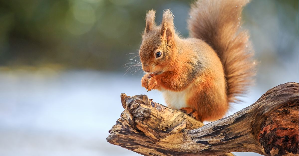 2018 alarmı - KPMG Türkiye