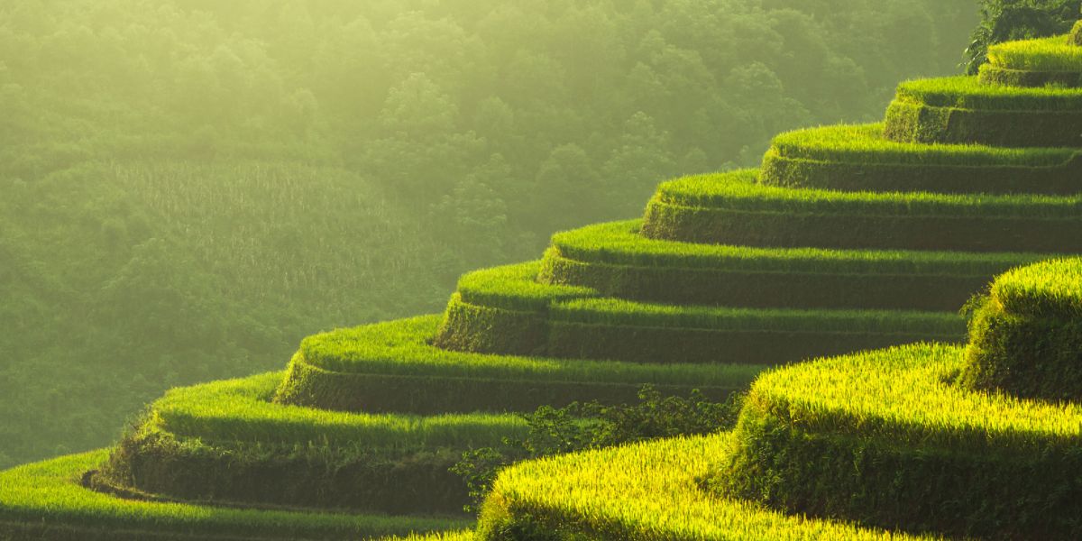 Value of Innovation in Vietnam - KPMG Vietnam