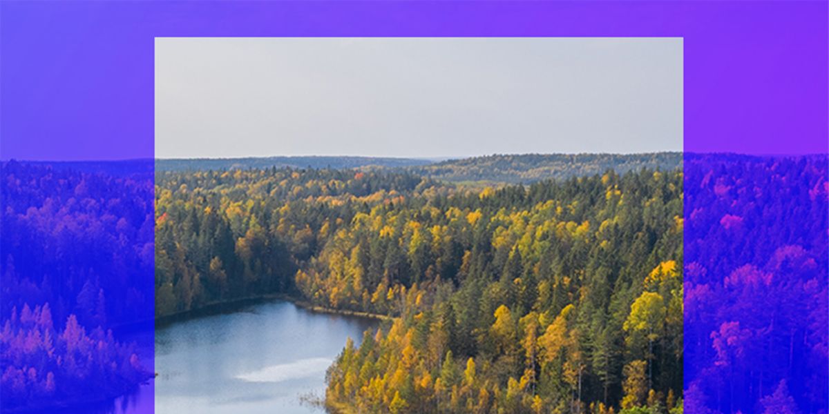 El desafío del lavado verde - KPMG Colombia