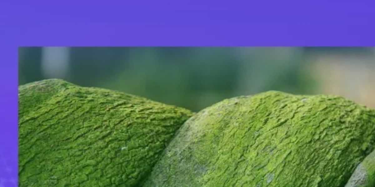 Integrating Nature Tech: - KPMG Chile