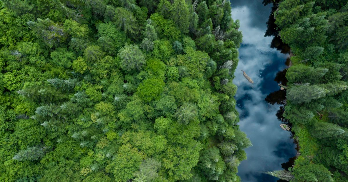 Der GRI 207 Standard „Tax“ - KPMG Deutschland