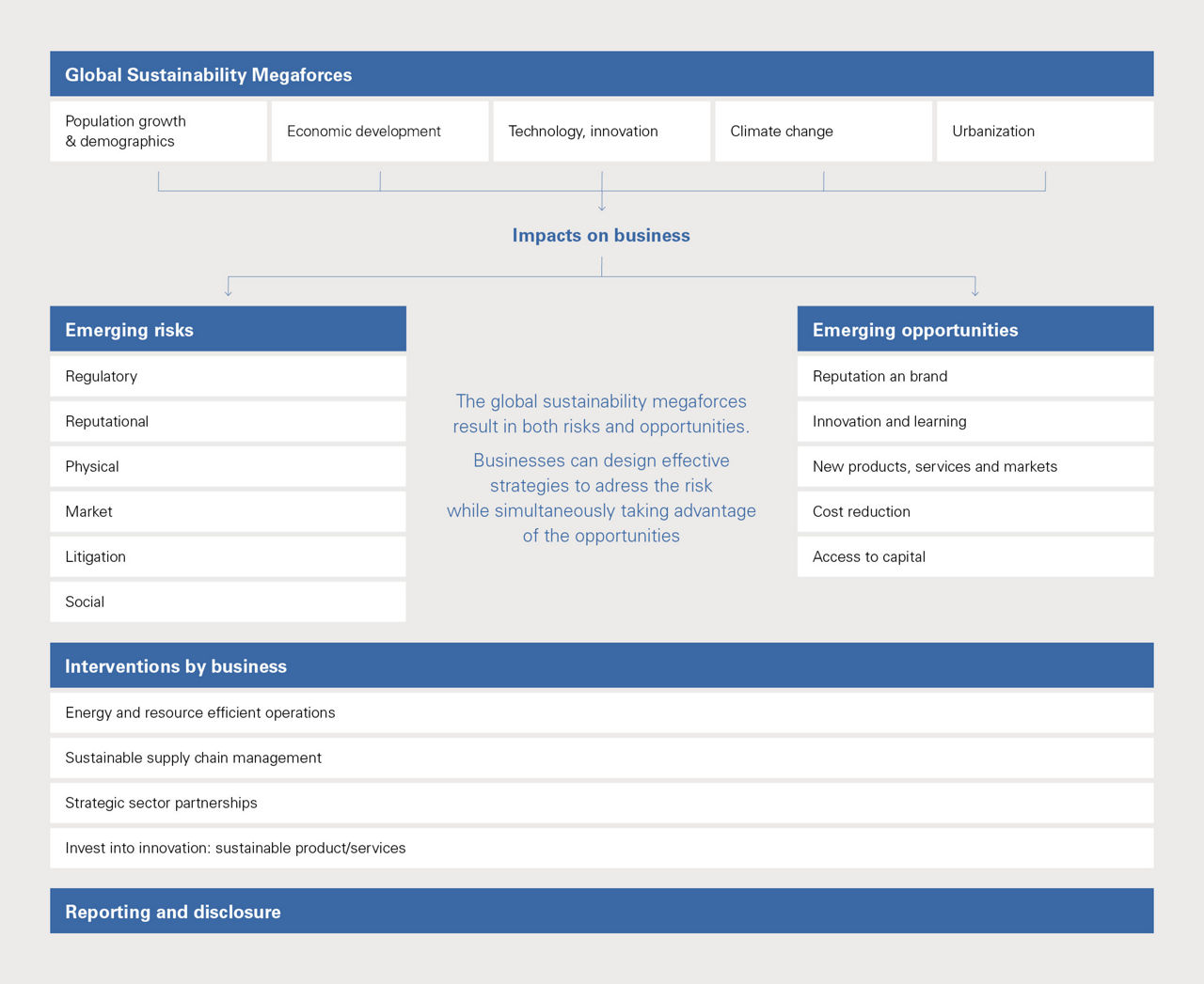 Strategy, Risks & Opportunities
